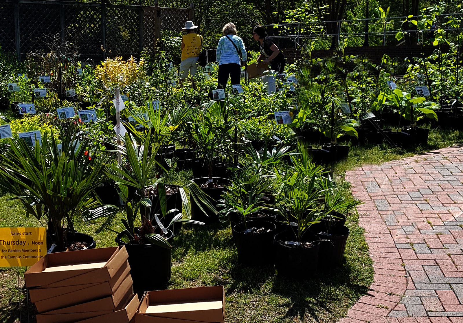 Botanical Gardens | wooded plants